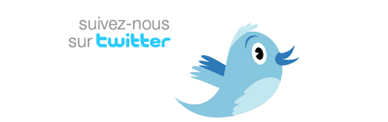 Twitter à Paris : information confirmée par la Ville